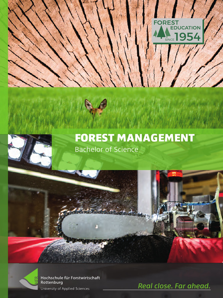 BSc-FOREST-MANAGEMENT ROTTENBURG UNIVERSITY GERMANY | PDF | Forestry ...
