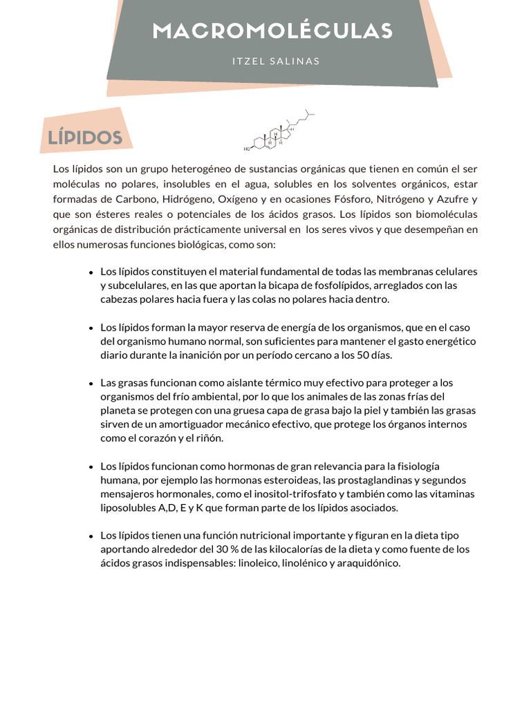 Macromoleculas | PDF | Lípido | Proteínas