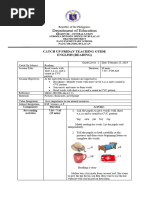 I Am A Tree | PDF | Language Arts & Discipline