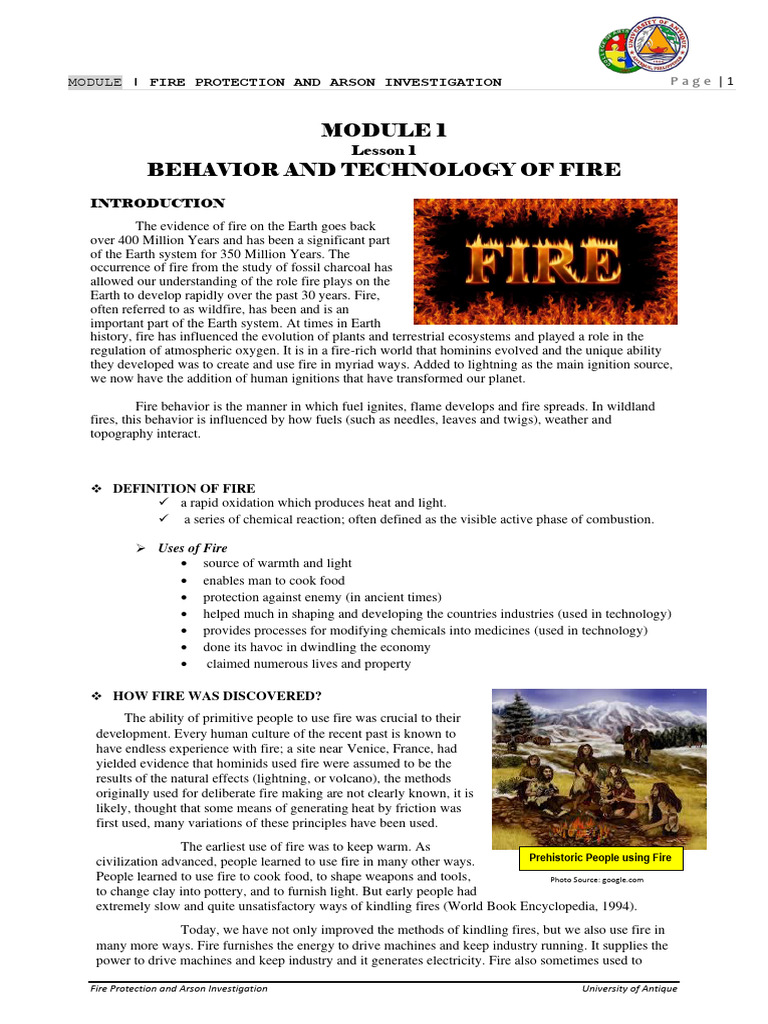Fire Behavior and Investigation Overview | PDF | Combustion | Fires