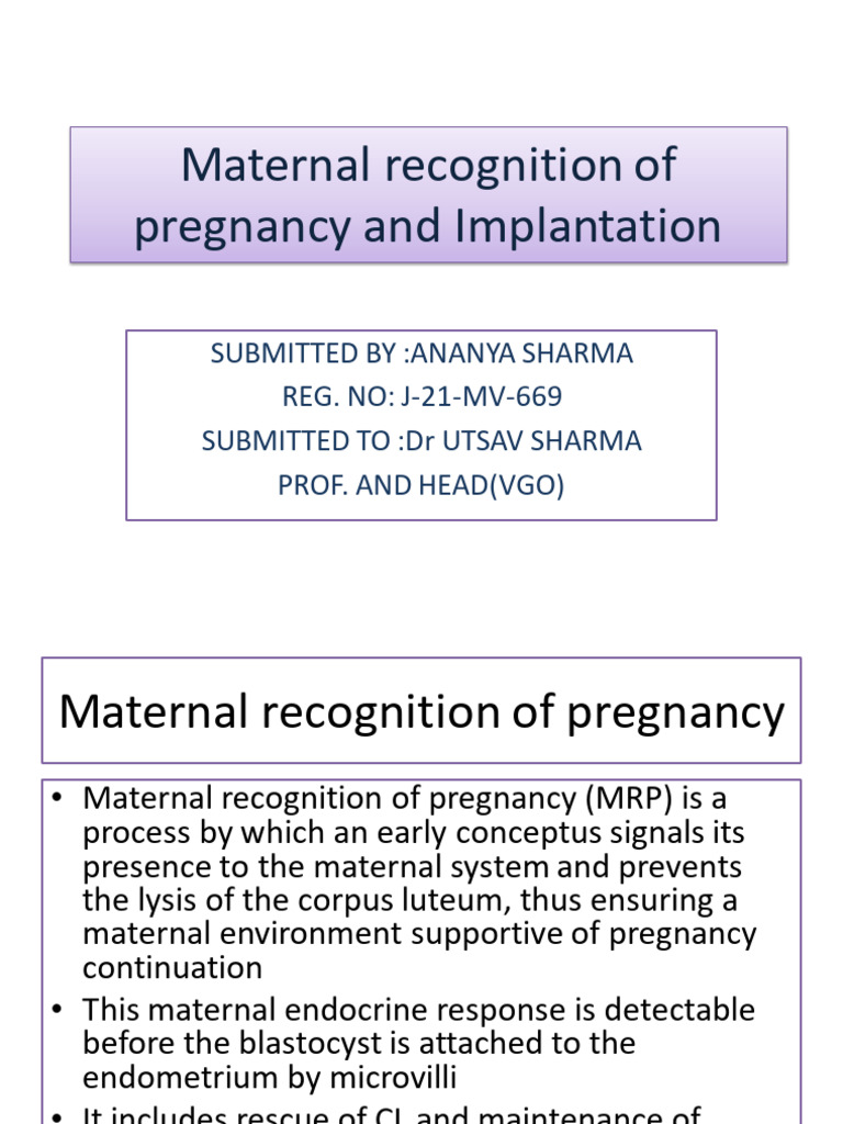 MRP and Implantation | PDF | Medical Specialties | Endocrine System