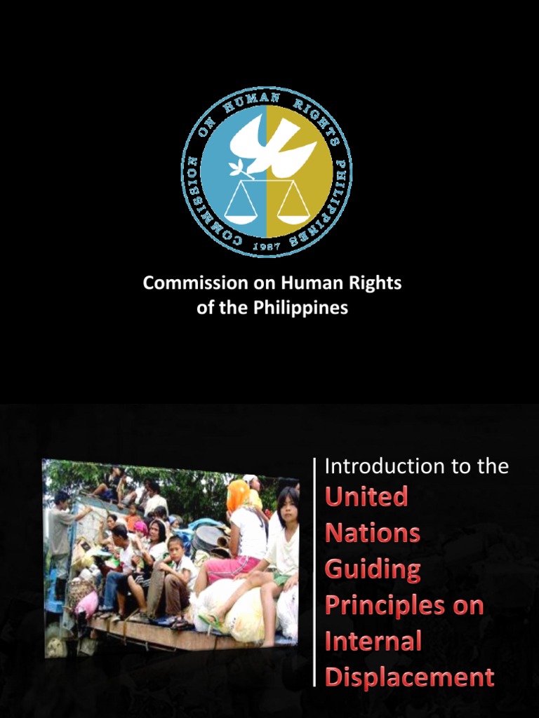 My UNGPID Presentation | PDF | Internally Displaced Person | Refugee