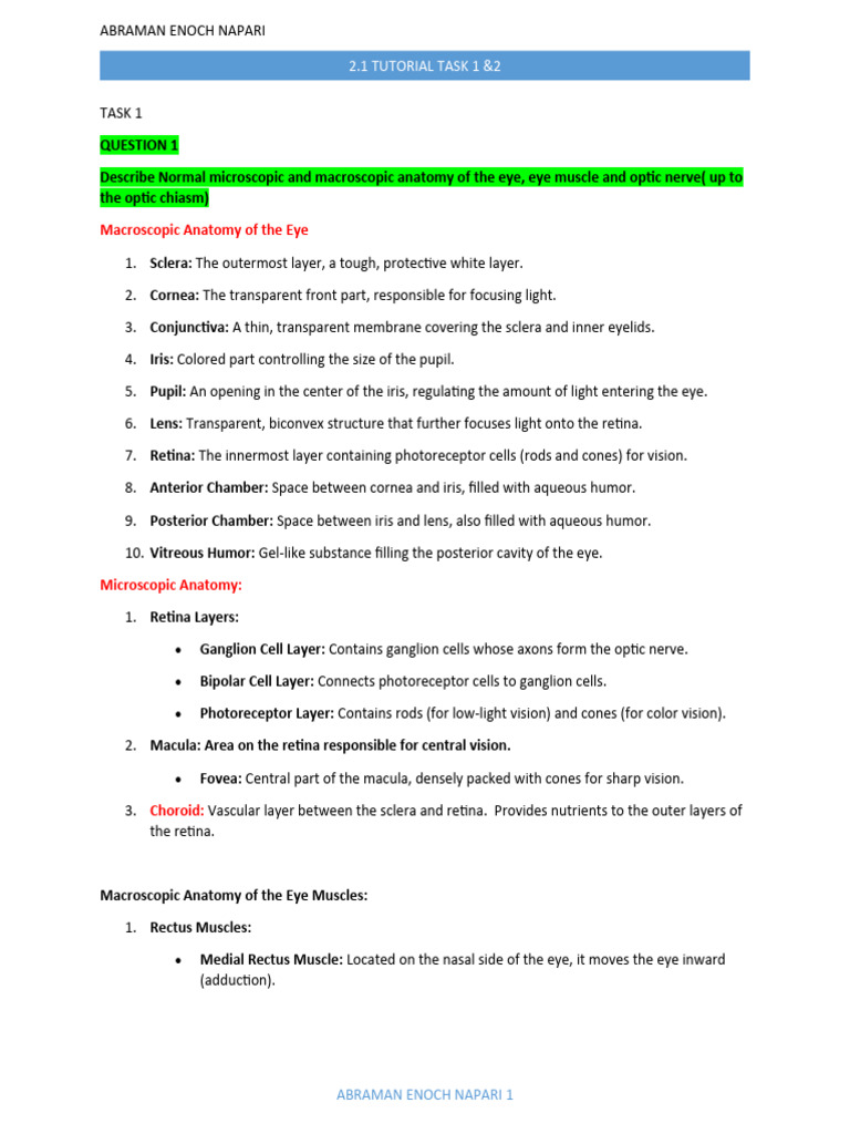 2.1 Tutorial Task 1&2 | PDF | Visual Cortex | Visual System
