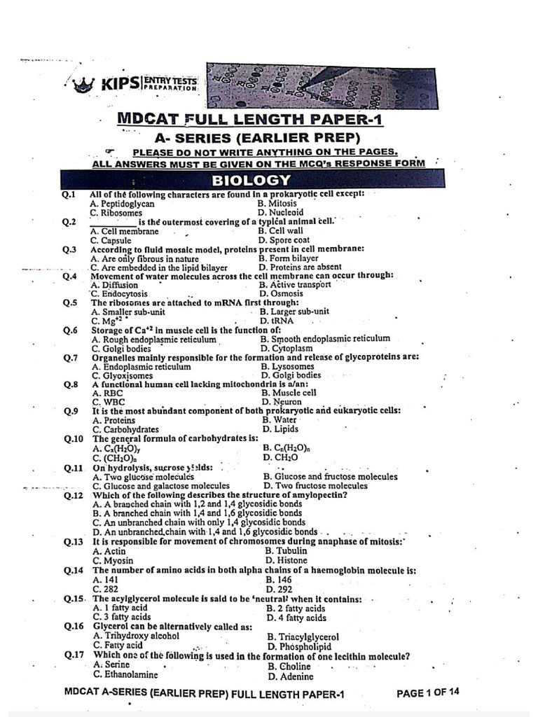 Kips 2024 FLP 1 A Series PDF | PDF