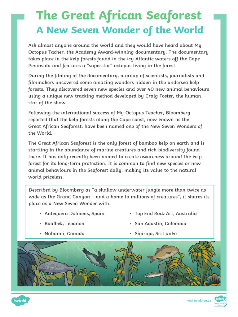 Great African Seaforest: A New Wonder | PDF | Nature | Physical Geography