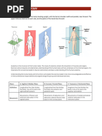 Directional Terms Worksheet | PDF | Anatomical Terms Of Location | Elbow