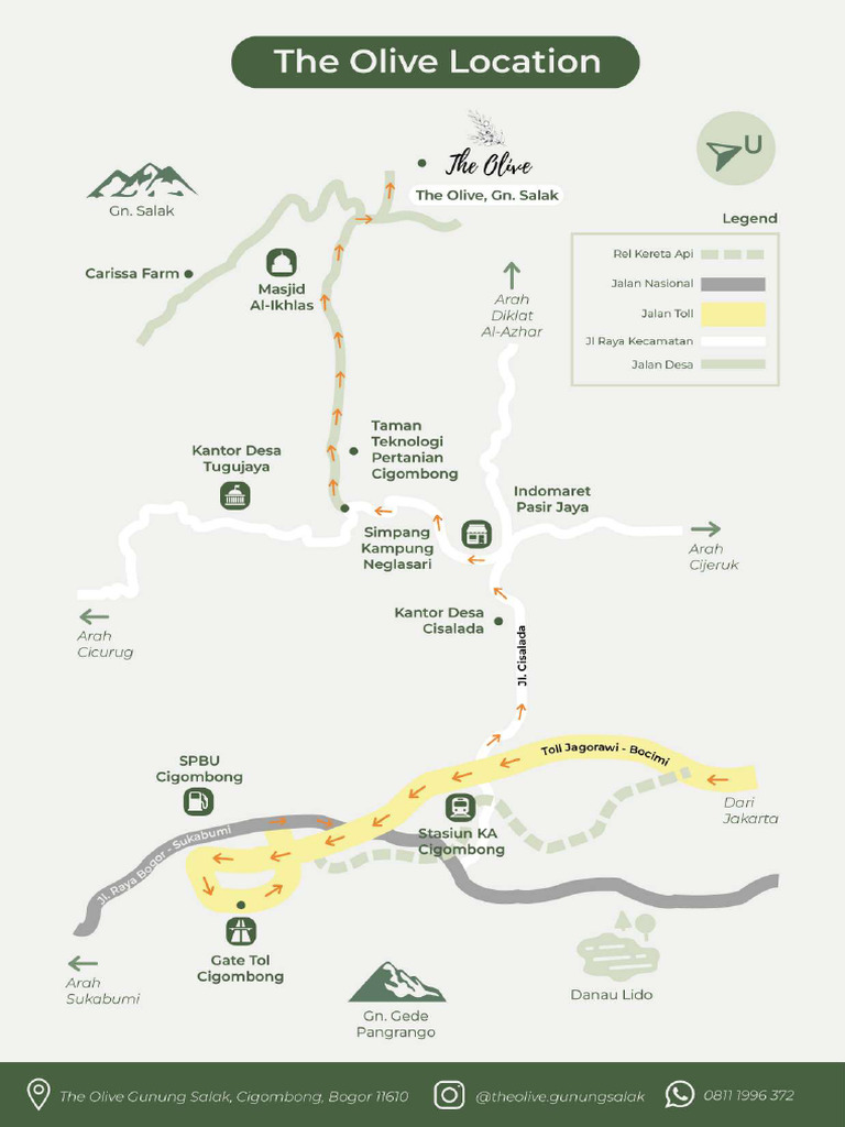 The Olive Locations & Directory | PDF