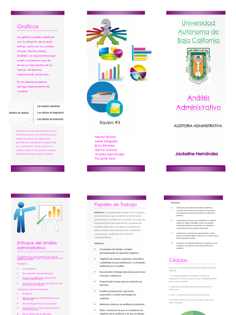 Triptico Auditoria | Descargar gratis PDF | Auditoría | Contralor