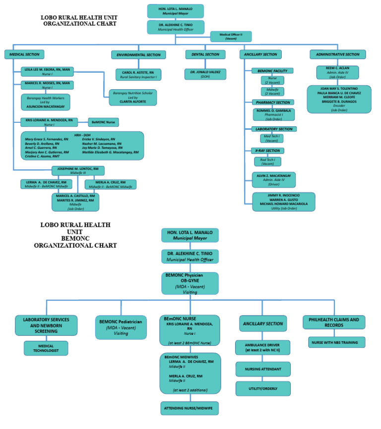 Lobo Rural Health Unit Structure | PDF | Midwife | Employment