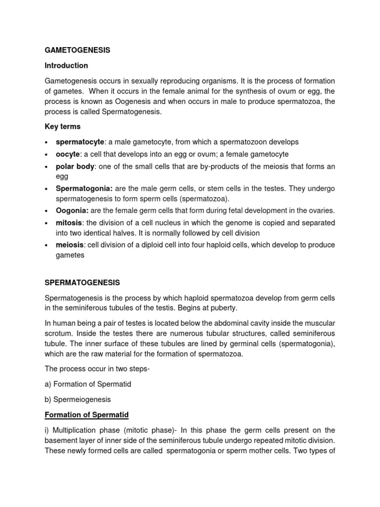 Gametogenesis and Fertilization | PDF | Fertilisation | Meiosis