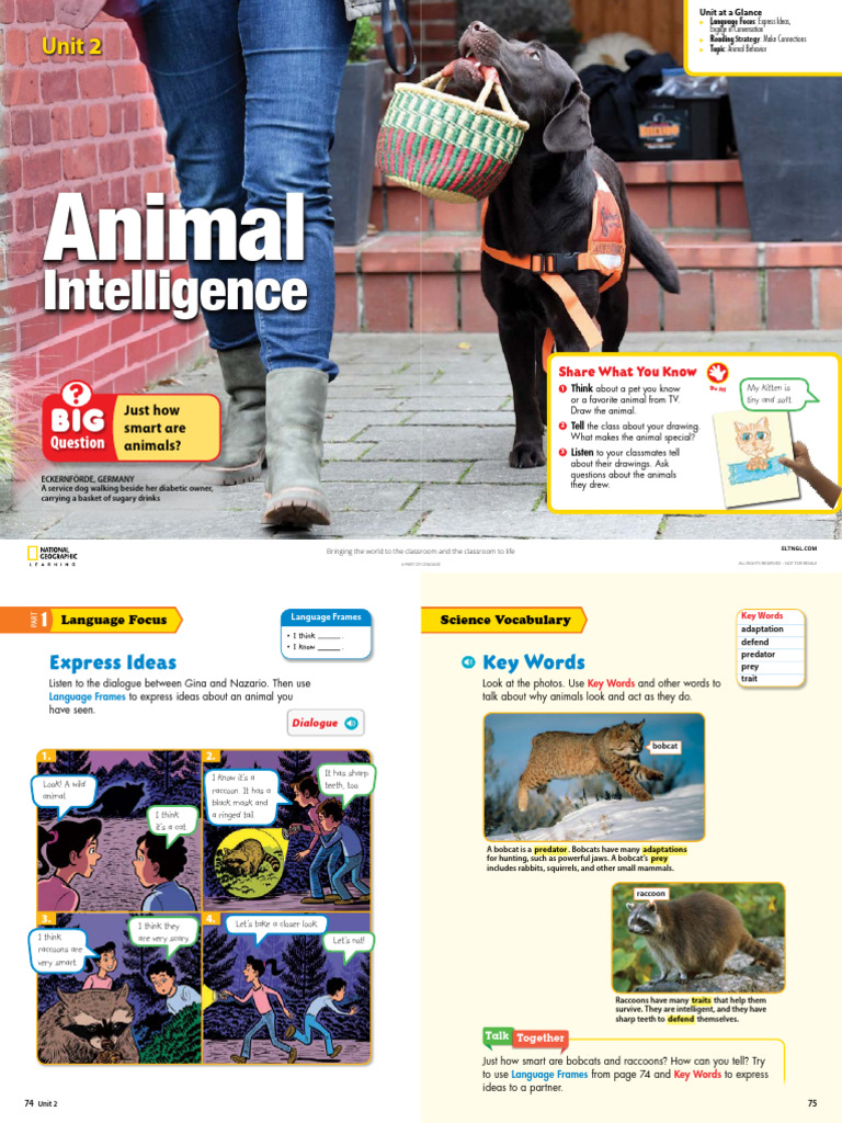 Reach Higher Students Book Level 4a Unit 2 | PDF | Predation | Cats