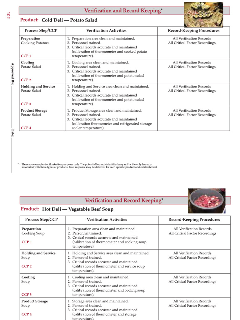 Verification & Record Example | PDF