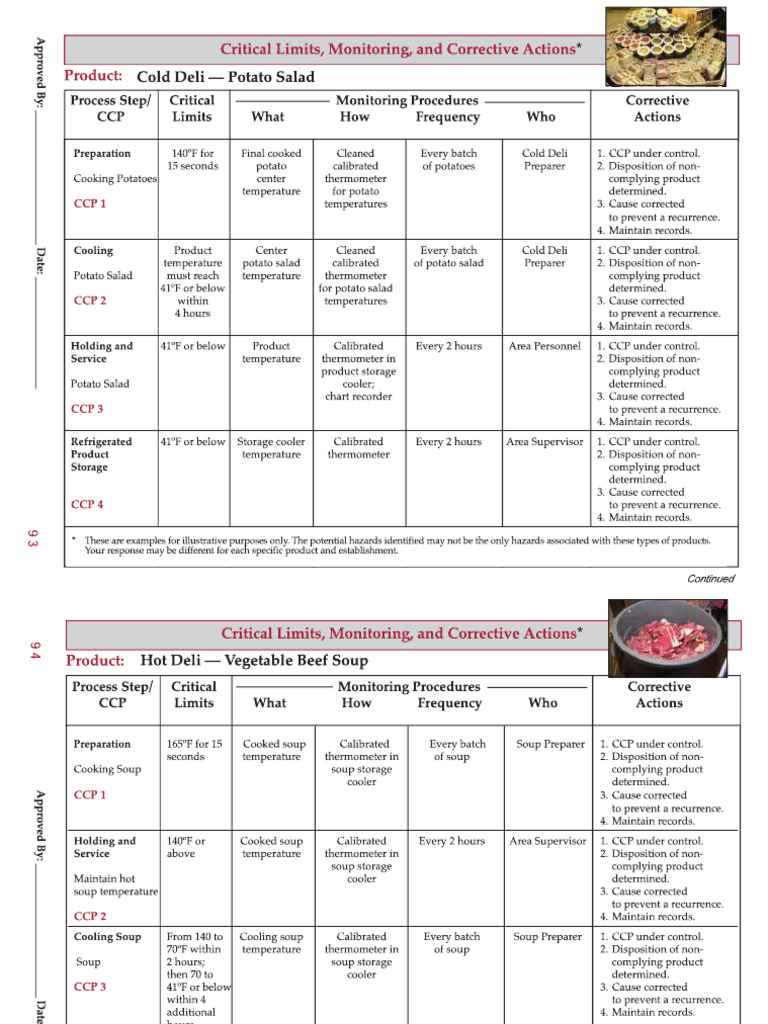 Critical limits & corrective actions example | PDF