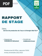 Organigramme Et Filiales de OCP | PDF