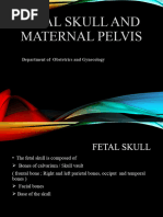Fetal Skull Diameter Measurements | PDF
