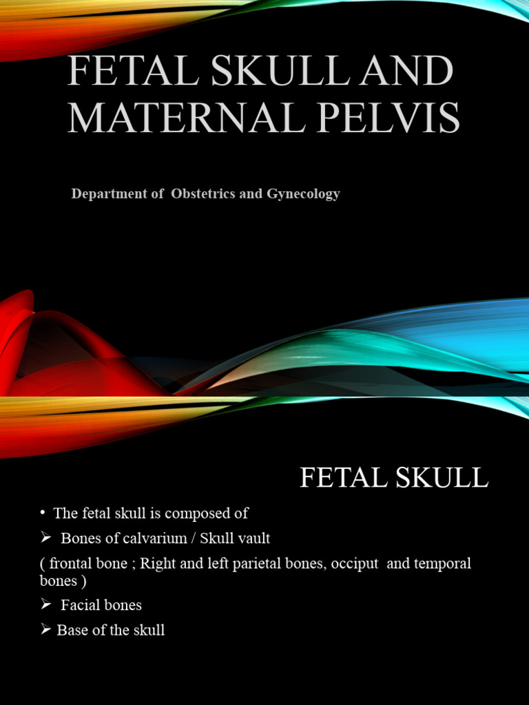 Fetal Skull & Maternal Pelvis Guide | PDF | Pelvis | Skull