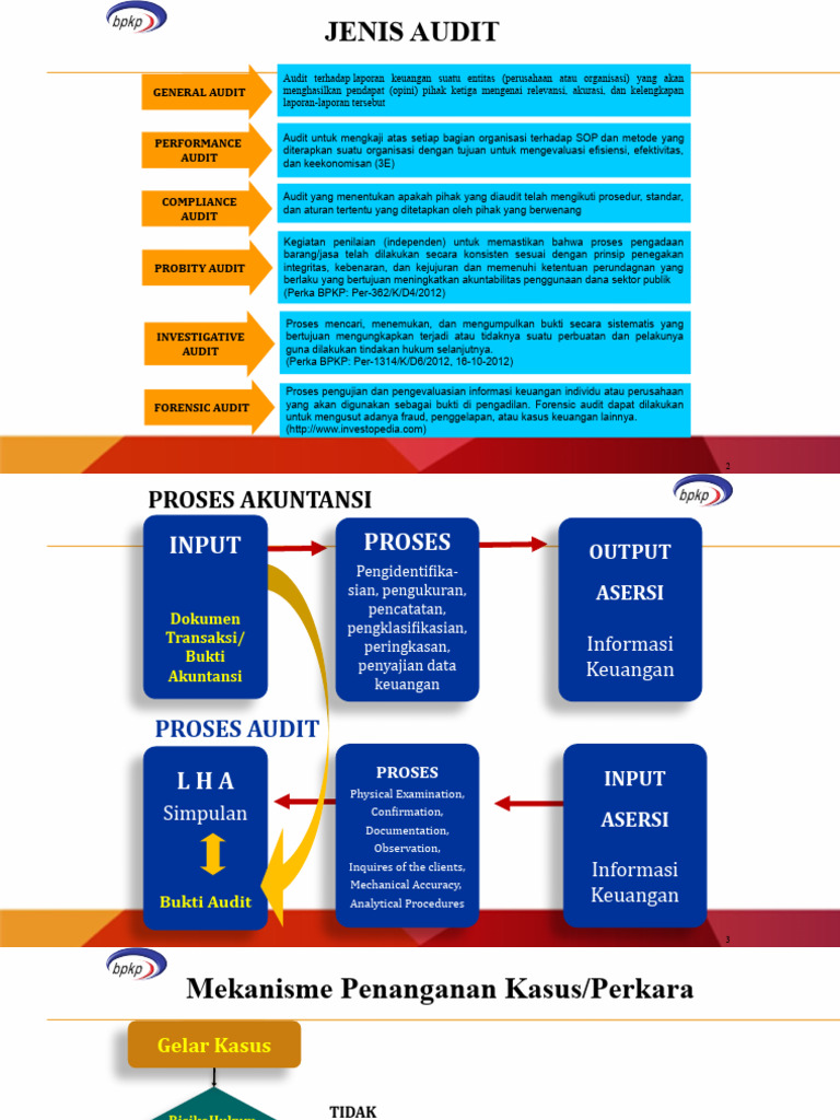 Audit Investigatif dan Akuntansi Forensik | PDF