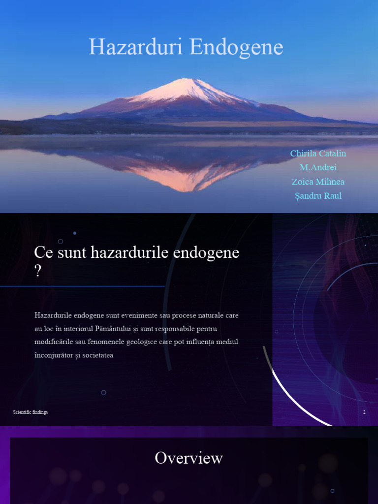 Hazarduri Endogene | PDF