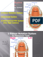 List of Instruments To Start A Dental Clinic | PDF | Mouth | Dentistry
