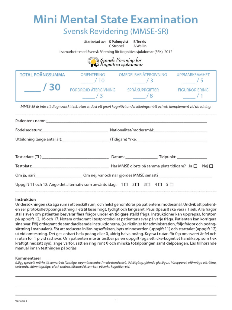 MMSE Protokoll | PDF