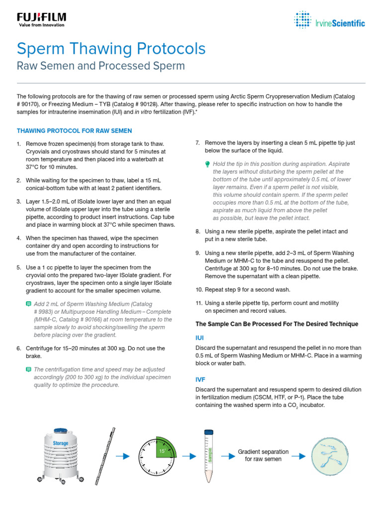 Sperm Thawing Protocol | PDF | Semen | Human Reproduction