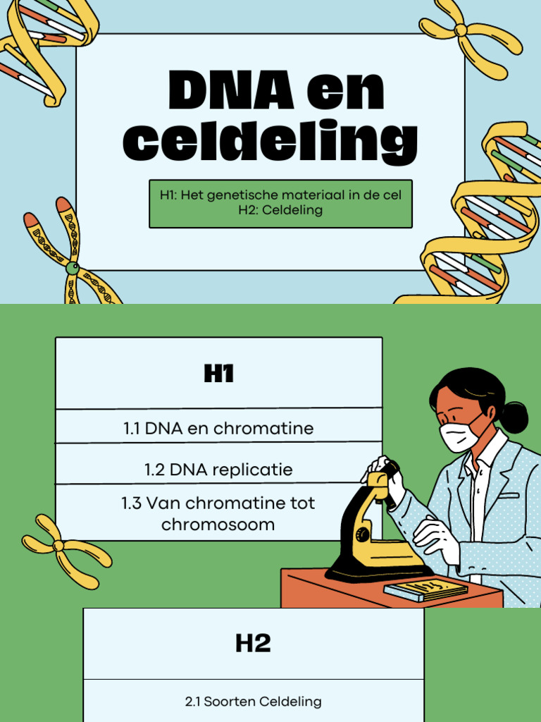 DNA en Celdeling: H1: Het Genetische Materiaal in de Cel H2: Celdeling ...