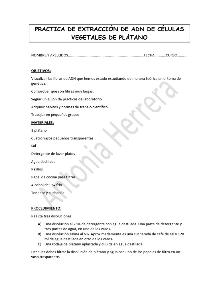 Practica de Extracción de Adn de Células Vegetales de Plátano | PDF
