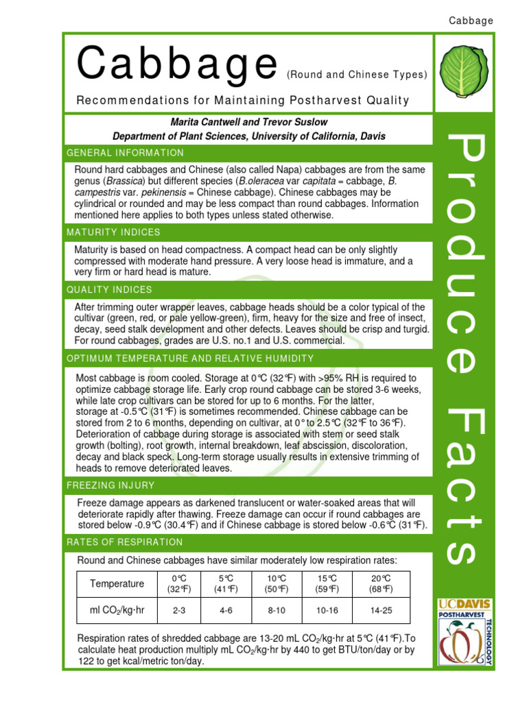 Cabbage Maturity and Quality Indices | PDF | Wellness | Science ...