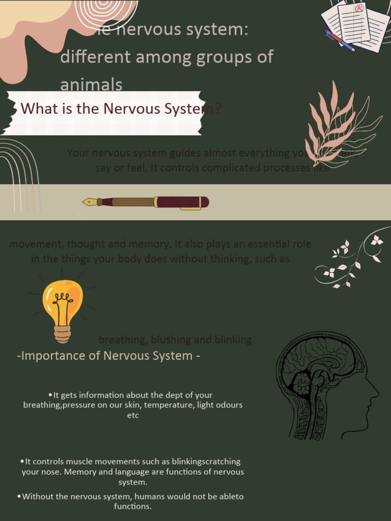 Understanding Animal Nervous Systems | PDF | Nervous System | Central ...