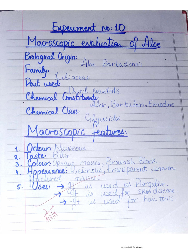 Cognosy Practicals | PDF