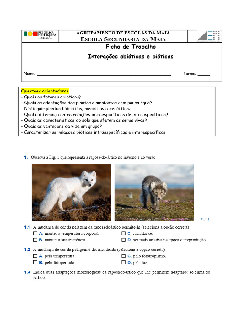 Ficha Formativa | PDF