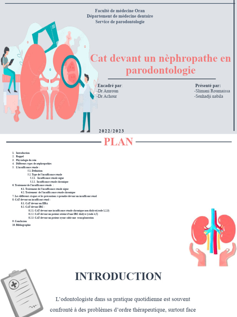 NEPHRO | PDF | Rein | Insuffisance rénale chronique
