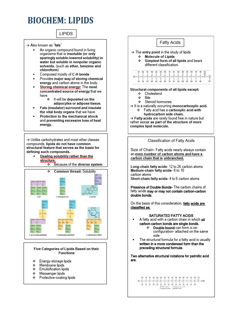 Lipids Notes Pdf Triglyceride Fatty Acid