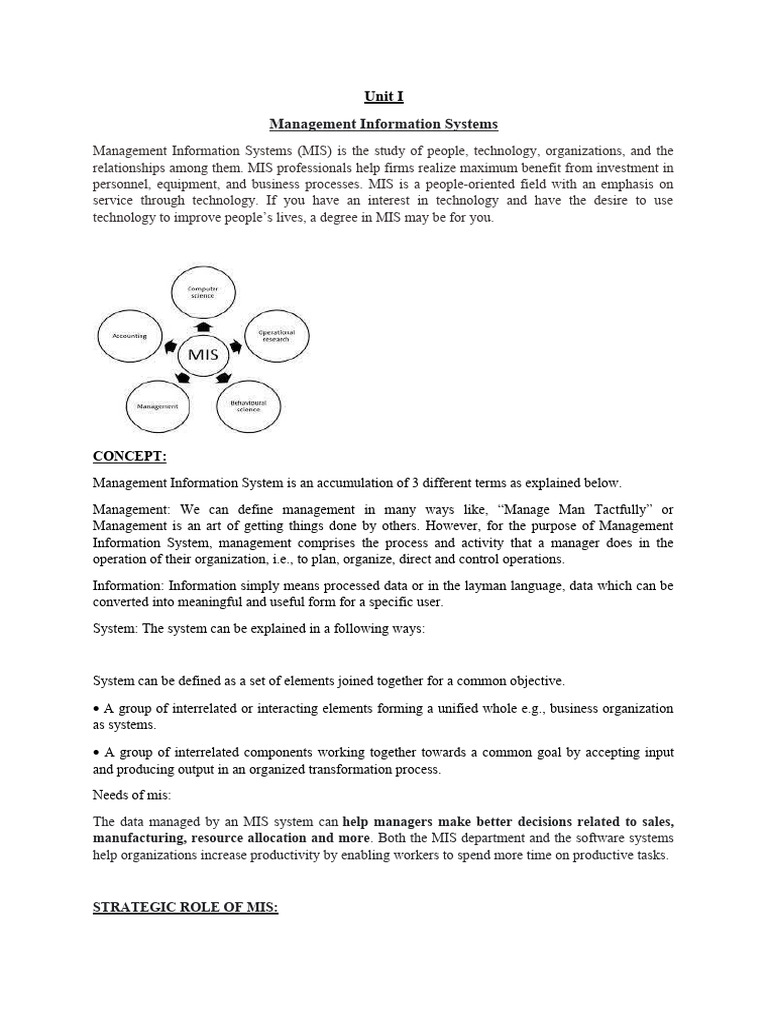 Understanding Management Information Systems Pdf Information System