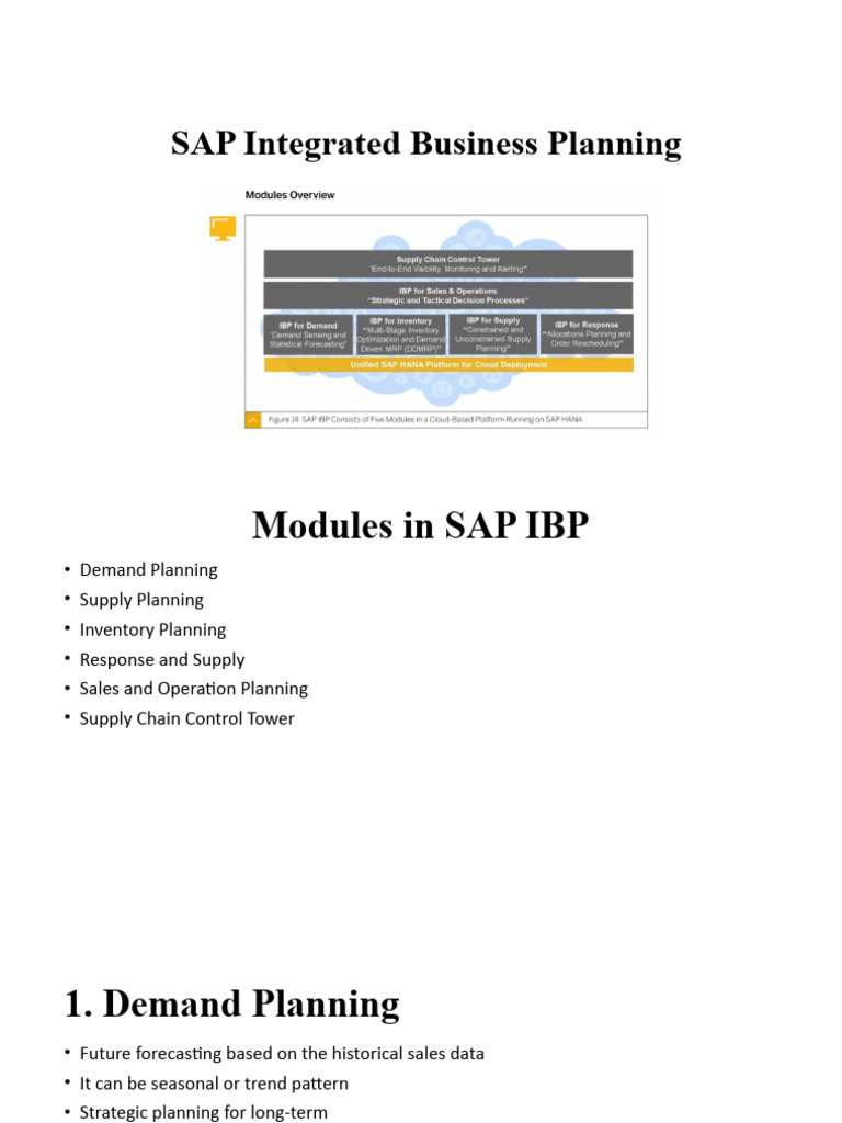SAP Integrated Business Planning - 3rd Sep 2023 | PDF