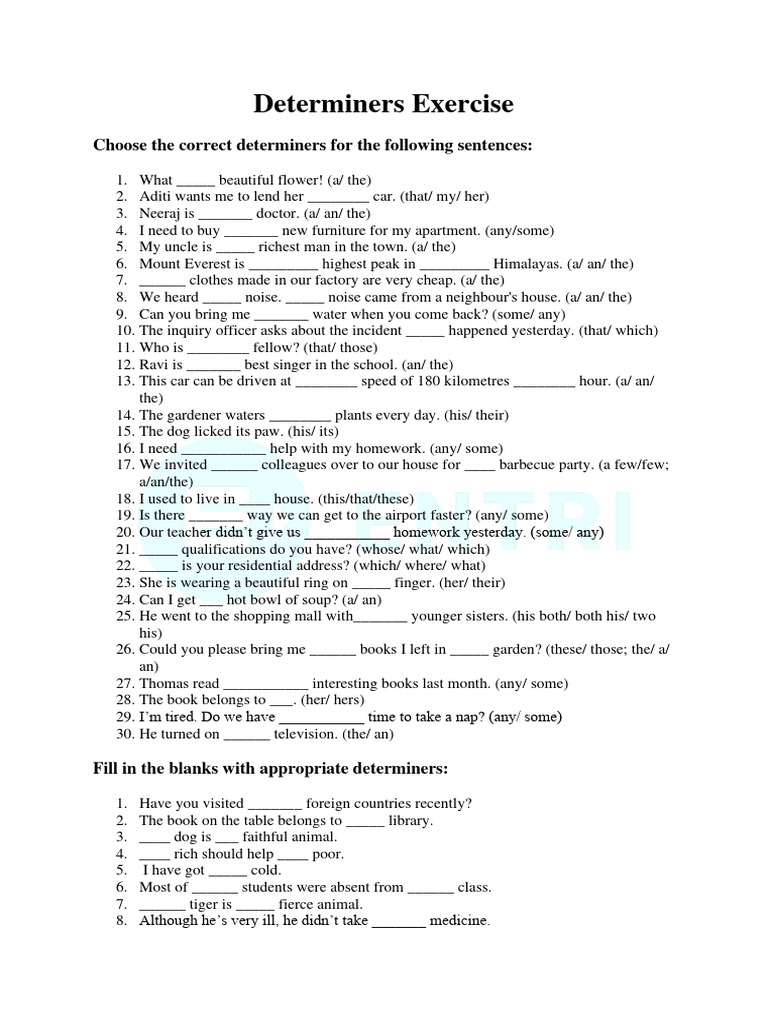 Determiners Exercise Examples | PDF