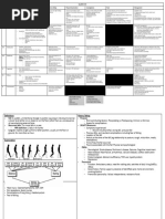 AAFP Dizziness- Evaluation and Management | PDF | Vertigo | Ménière's ...