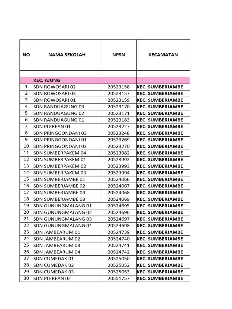 Rekapitulasi Rkas Tahun 2024 Kec. Sumberjambe | PDF