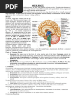 Human Brain Class10 Notes | PDF