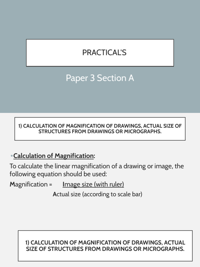 IB Biology Practical Experiments Guide | PDF | Chromatography | Breathing