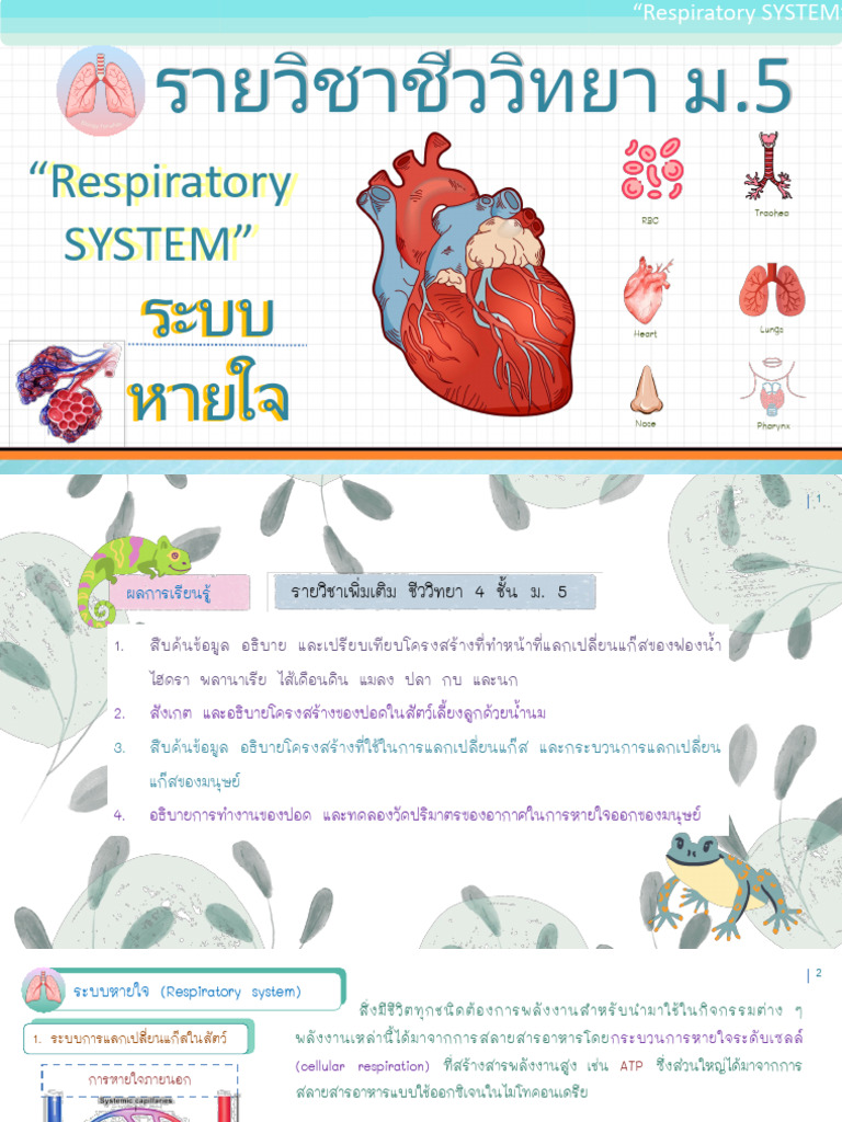 Slide Respiratory System 2 | PDF