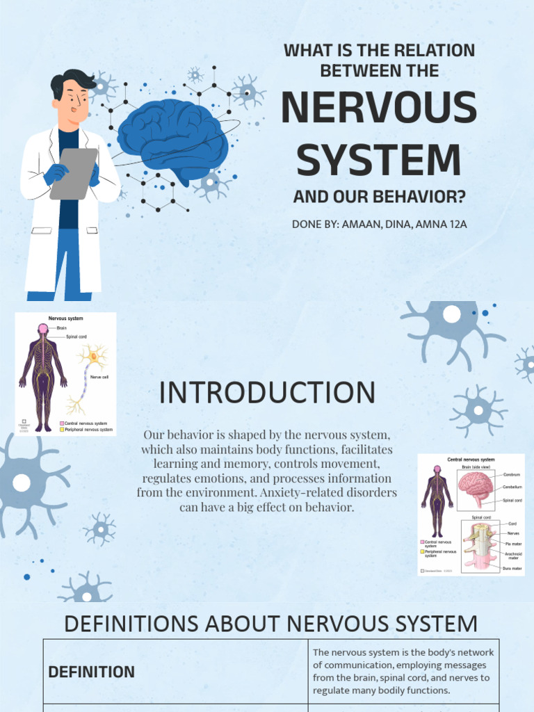 Learn More About The Nervous System by Slidesgo | Download Free PDF ...