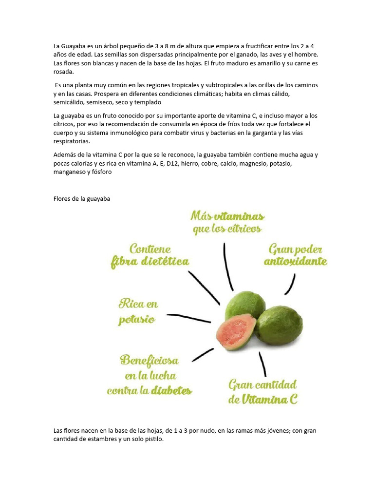 La Guayaba | PDF