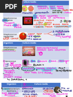 Sketchy Microbiology 1 | PDF | Gram Negative Bacteria | Bacteria