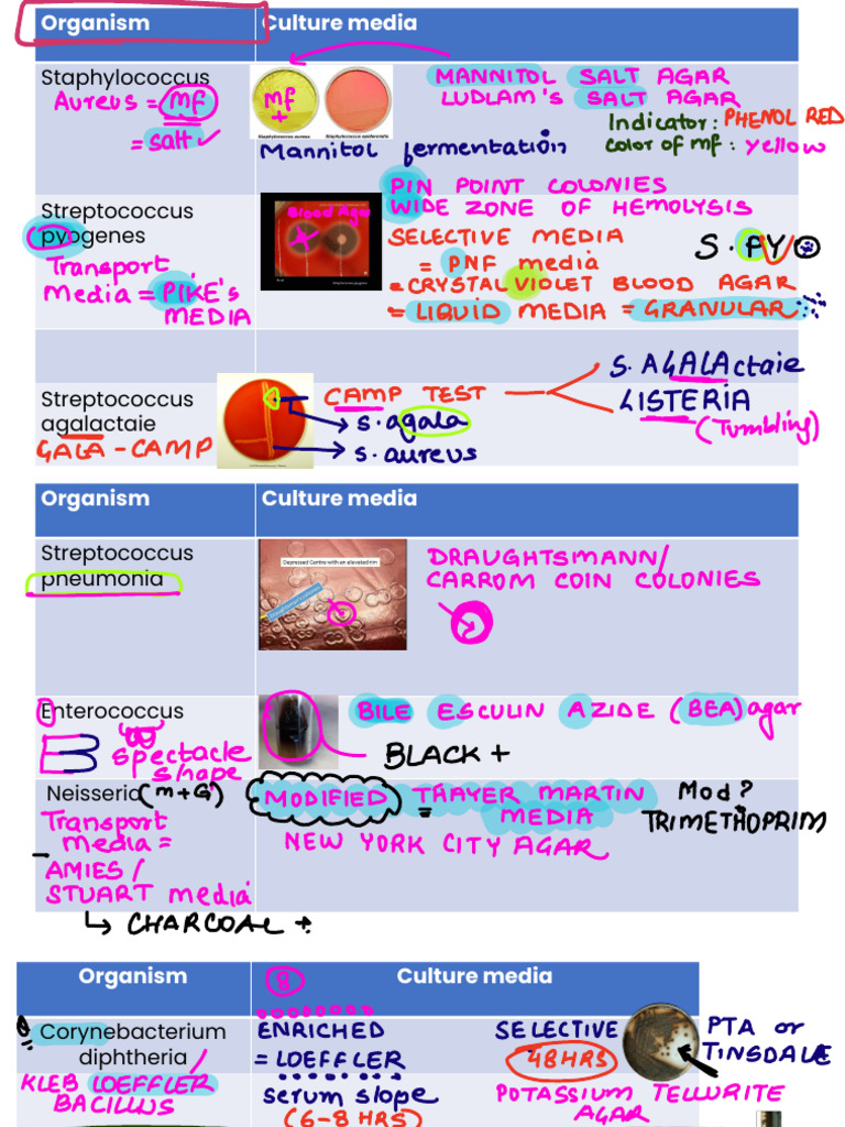 Culture Media | PDF | Growth Medium | Streptococcus