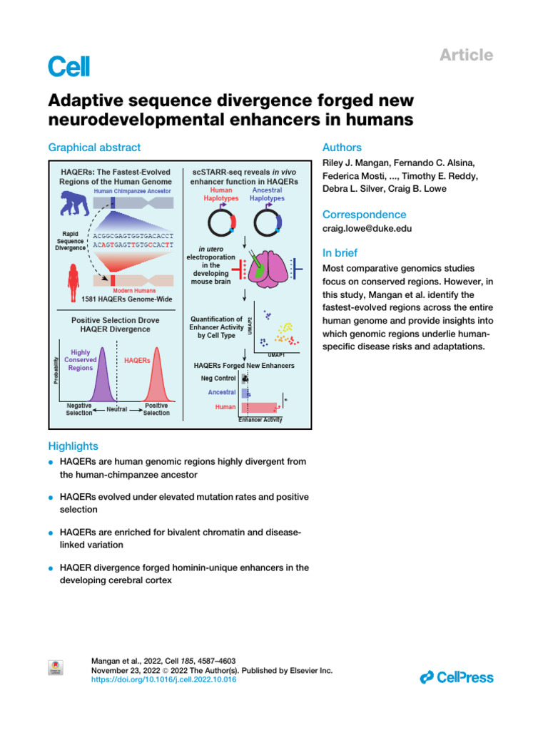 Adaptive Sequence Divergence Forged New Neurodevel | PDF | Mutation ...