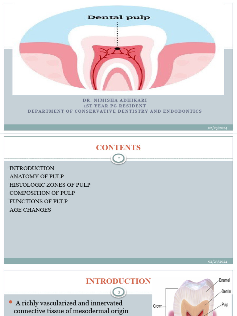 Dental Pulp I | PDF | Dentin | Anatomy