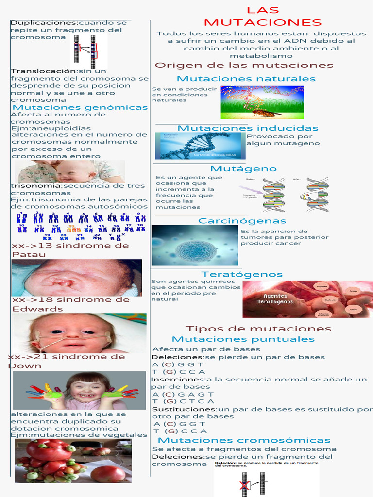 Las Mutaciones | PDF | Mutación | Mutageno