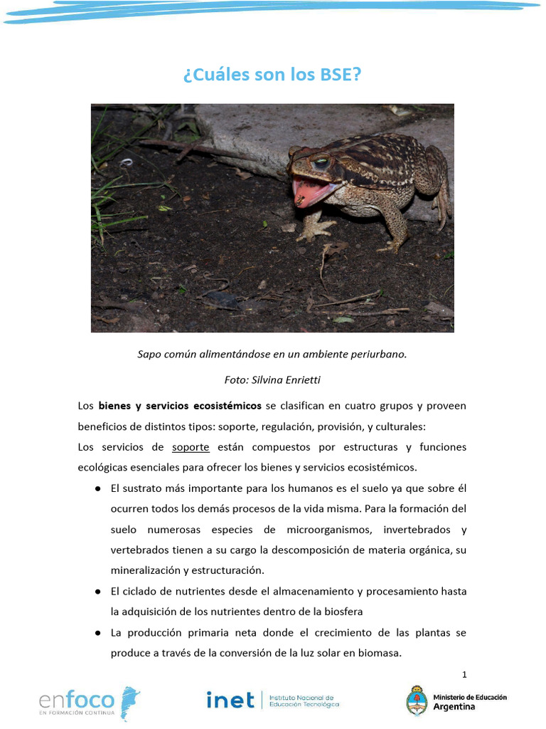 Cuáles Son Los BSE | PDF | Sicología | Suelo