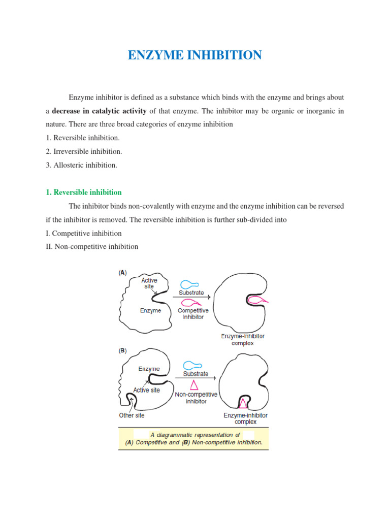 Enzyme Inhibition | PDF | Enzyme Inhibitor | Enzyme